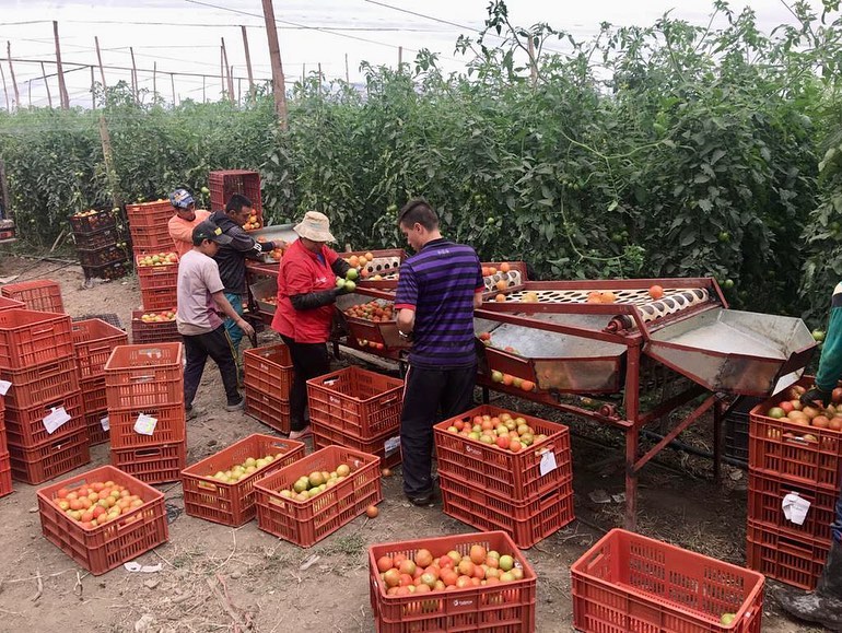 La Startup Frubana ofrece una línea de crédito