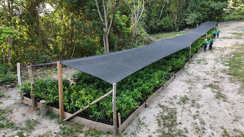 Cetrino, empresa colombiana, se prepara para exportar 500 contenedores ...